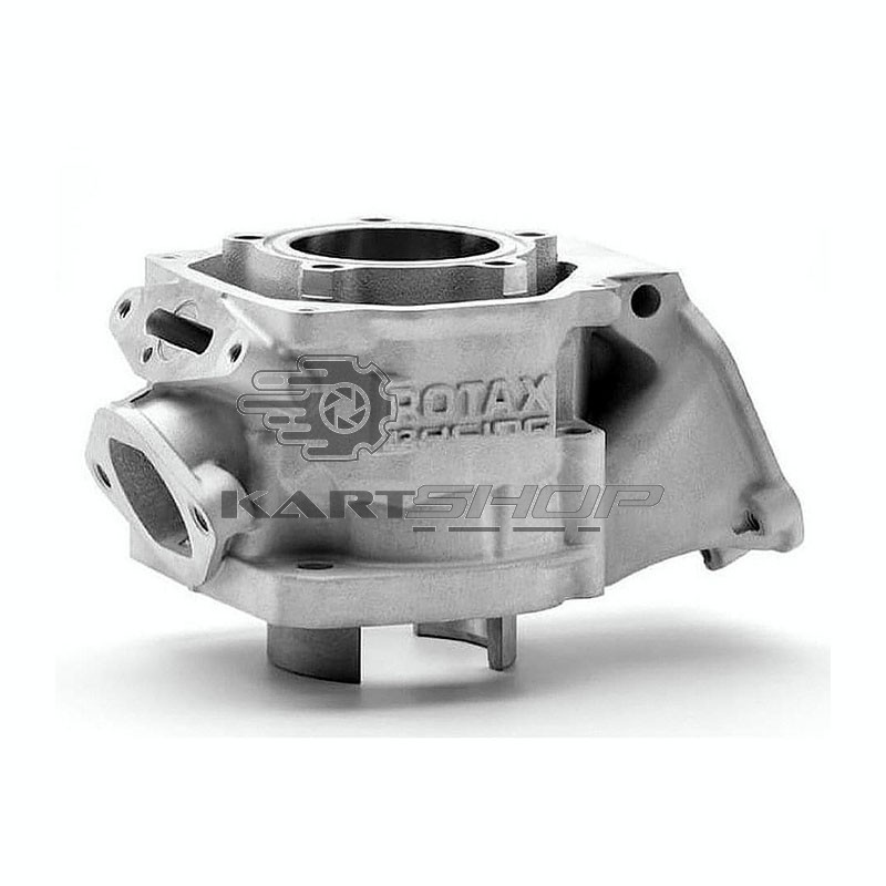 Moteur ROTAX MAX Junior Evo _ NEW CYLINDRE 2024 - KART SHOP FRANCE ...
